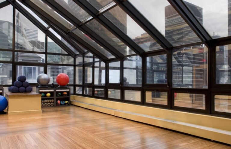 20 Most Expensive Gyms in 2024 (Bonus: Tips to Optimize Own Gym) - WodGuru