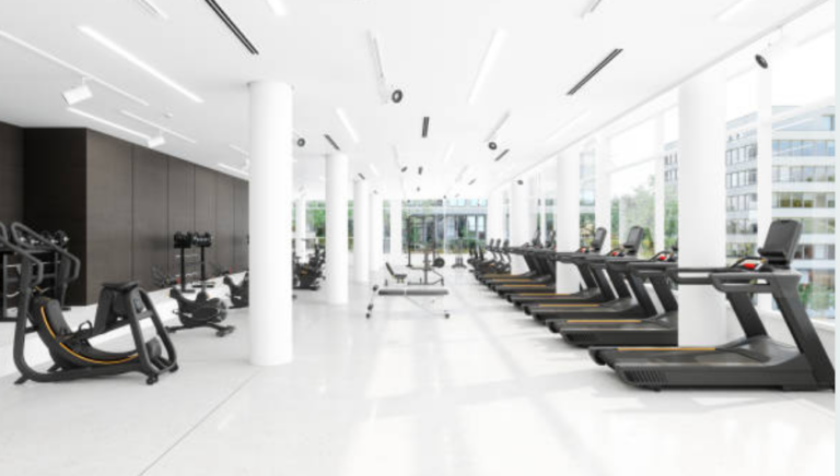 Average Gym Size: How Big Should a Gym Be? (How Much Space Is Required ...