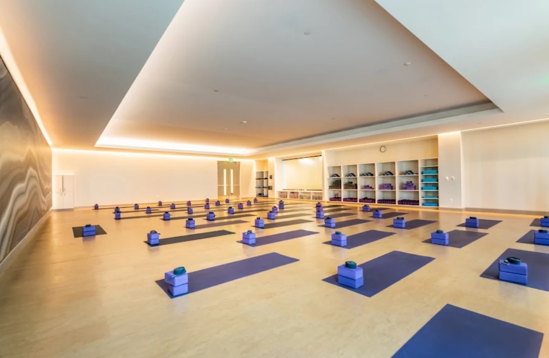 20 Most Expensive Gyms in 2024 (Bonus: Tips to Optimize Own Gym) - WodGuru