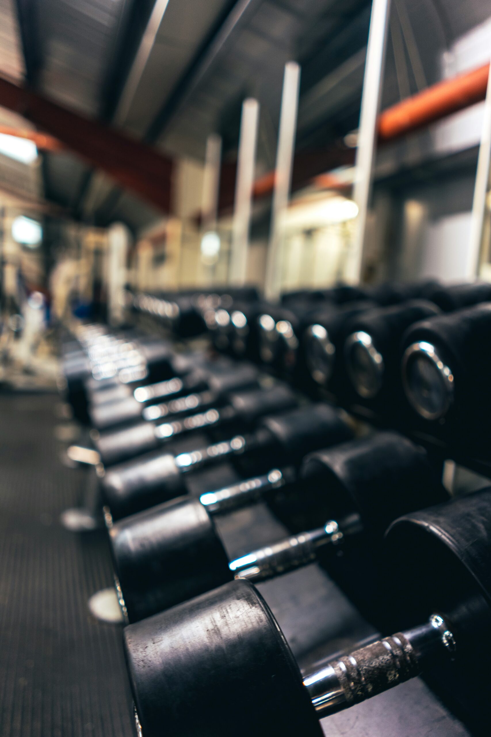 20 Common Gym Equipment for Opening a New Gym (Must Have Eequipment ...