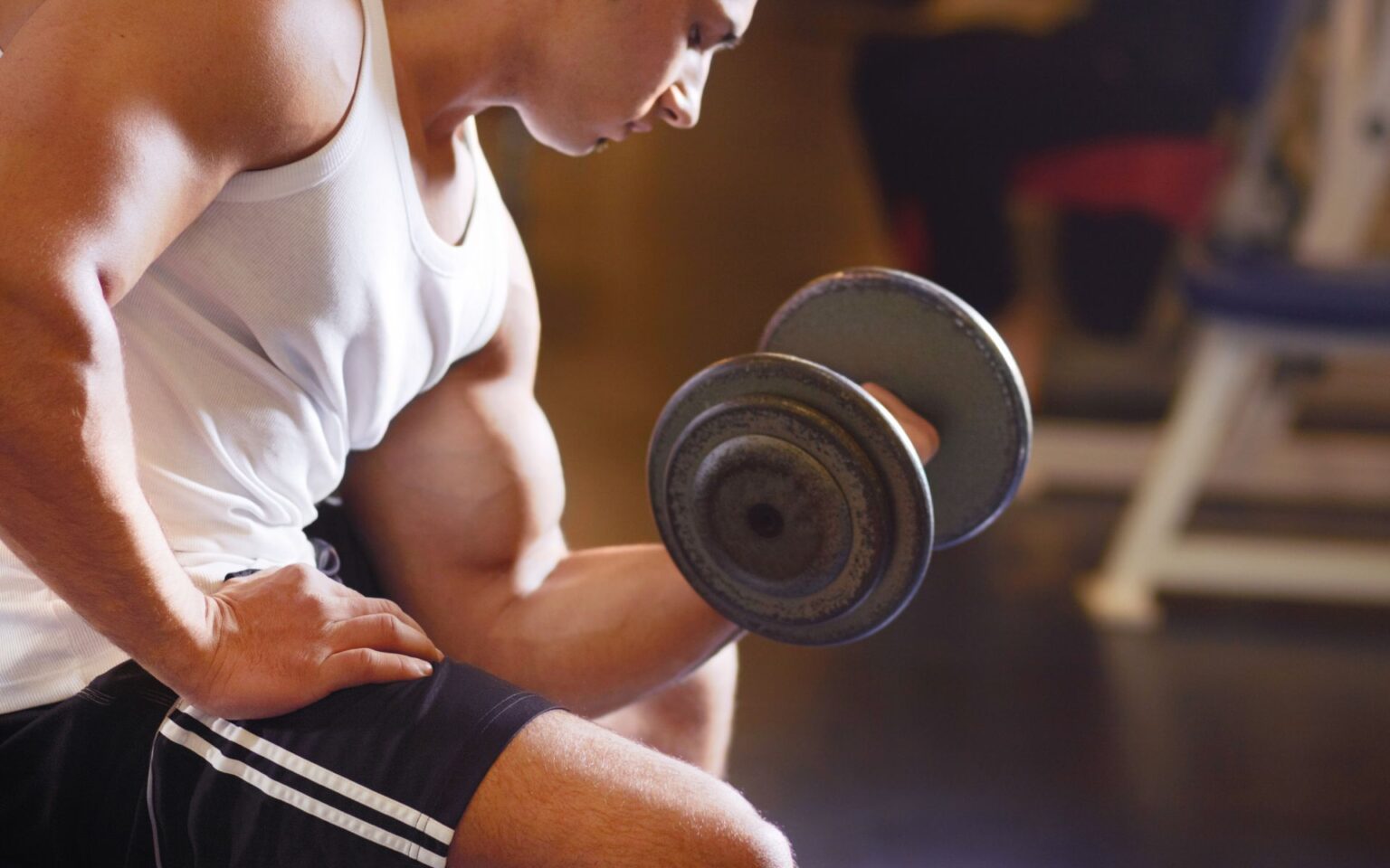 How Do Gym Membership Work? (Gym Membership Types & Prices in 2024 ...