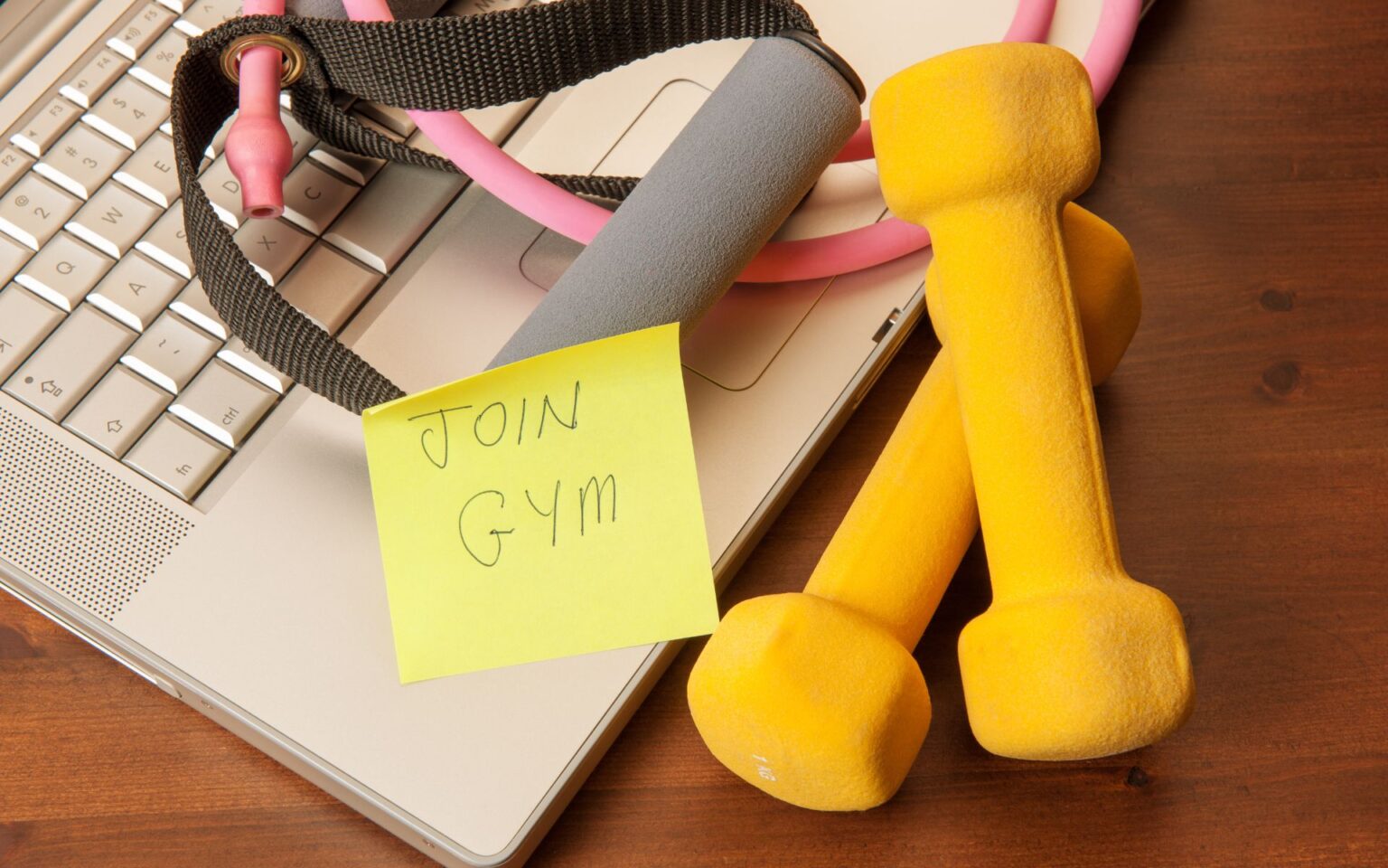 20 Best Paying Health and Fitness Affiliate Programs in 2024 - WodGuru