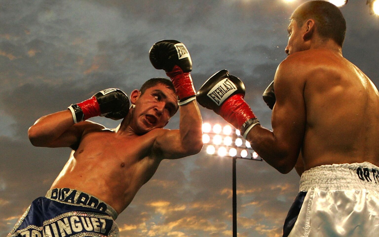 Boxing Equipment List to Start a Boxing Gym in 2024 - WodGuru