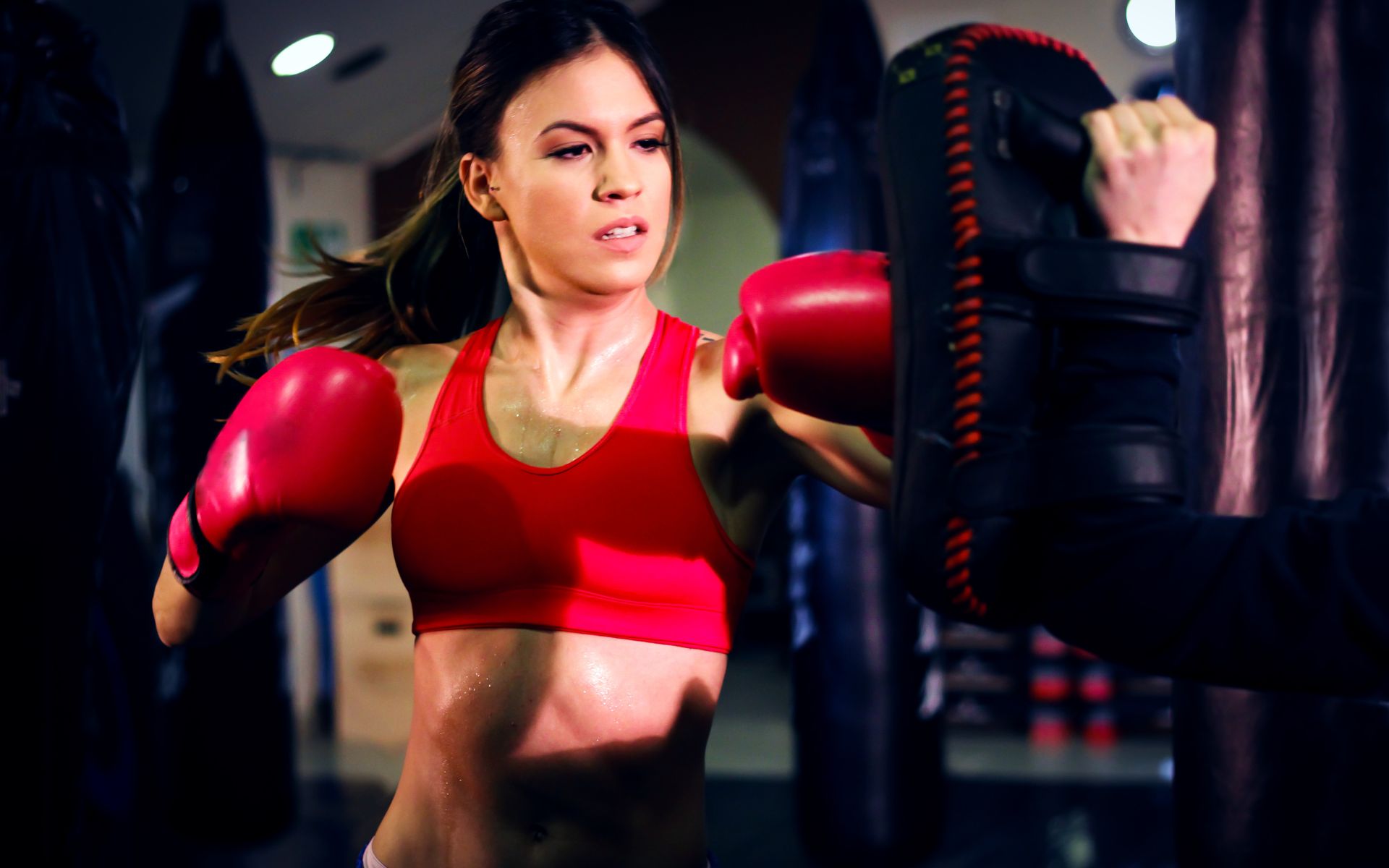 Boxing Equipment List to Start a Boxing Gym in 2024 - WodGuru