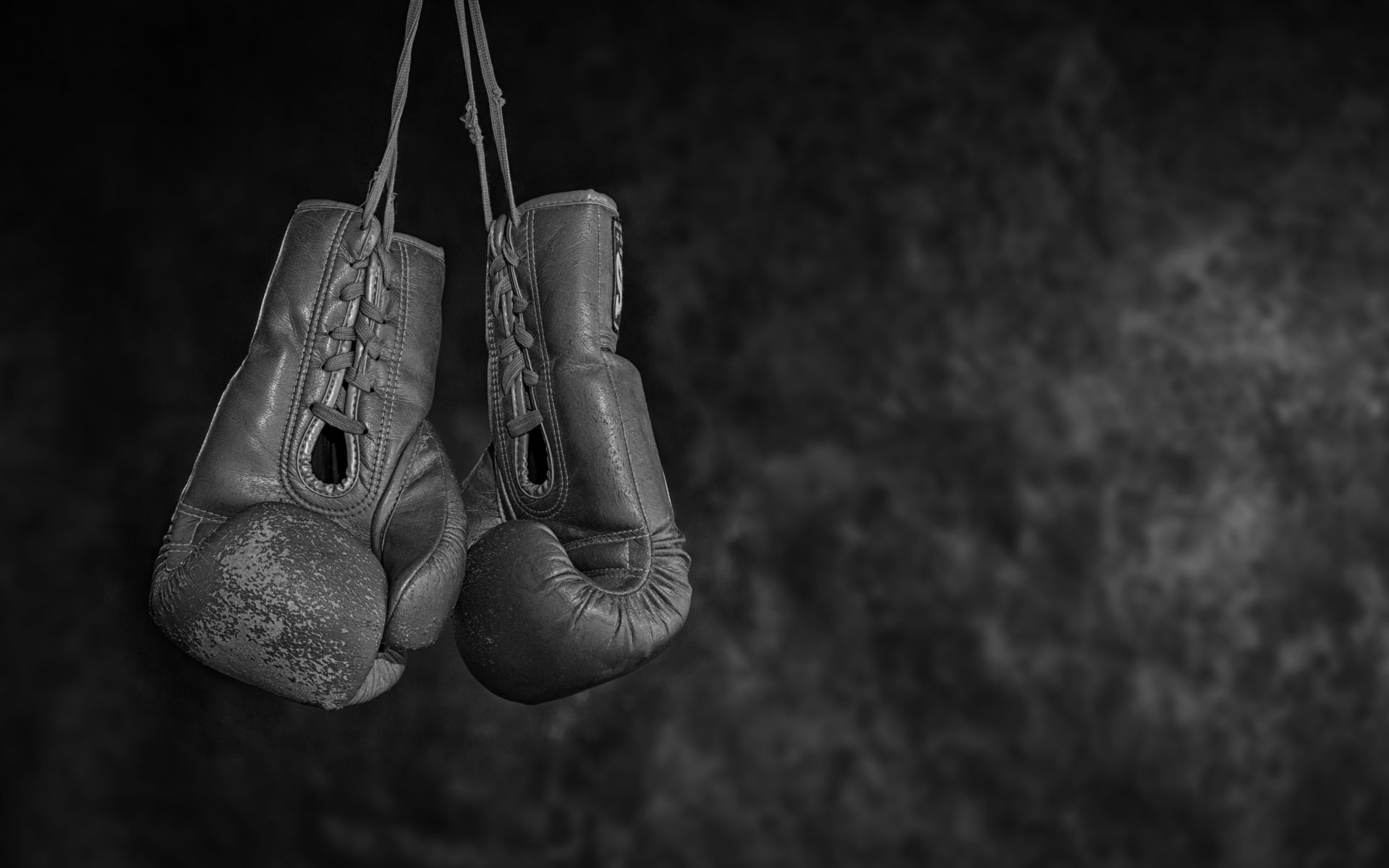 Boxing Equipment List to Start a Boxing Gym in 2024 - WodGuru