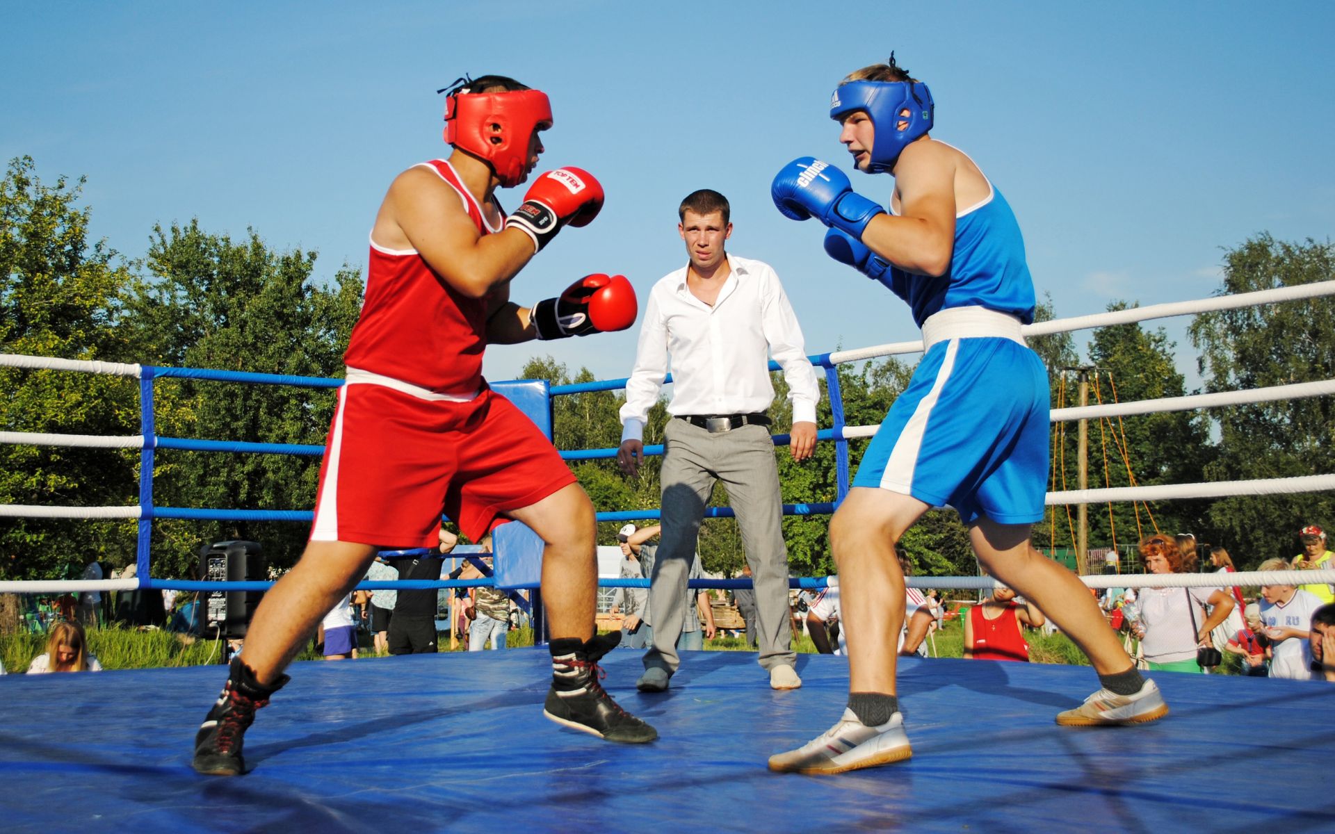 Boxing Equipment List to Start a Boxing Gym in 2024 - WodGuru