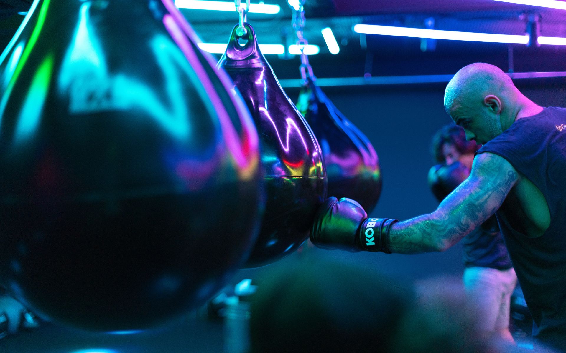 How to Open a Boxing Gym: 13 Steps to Knockout Success in 2024 - WodGuru