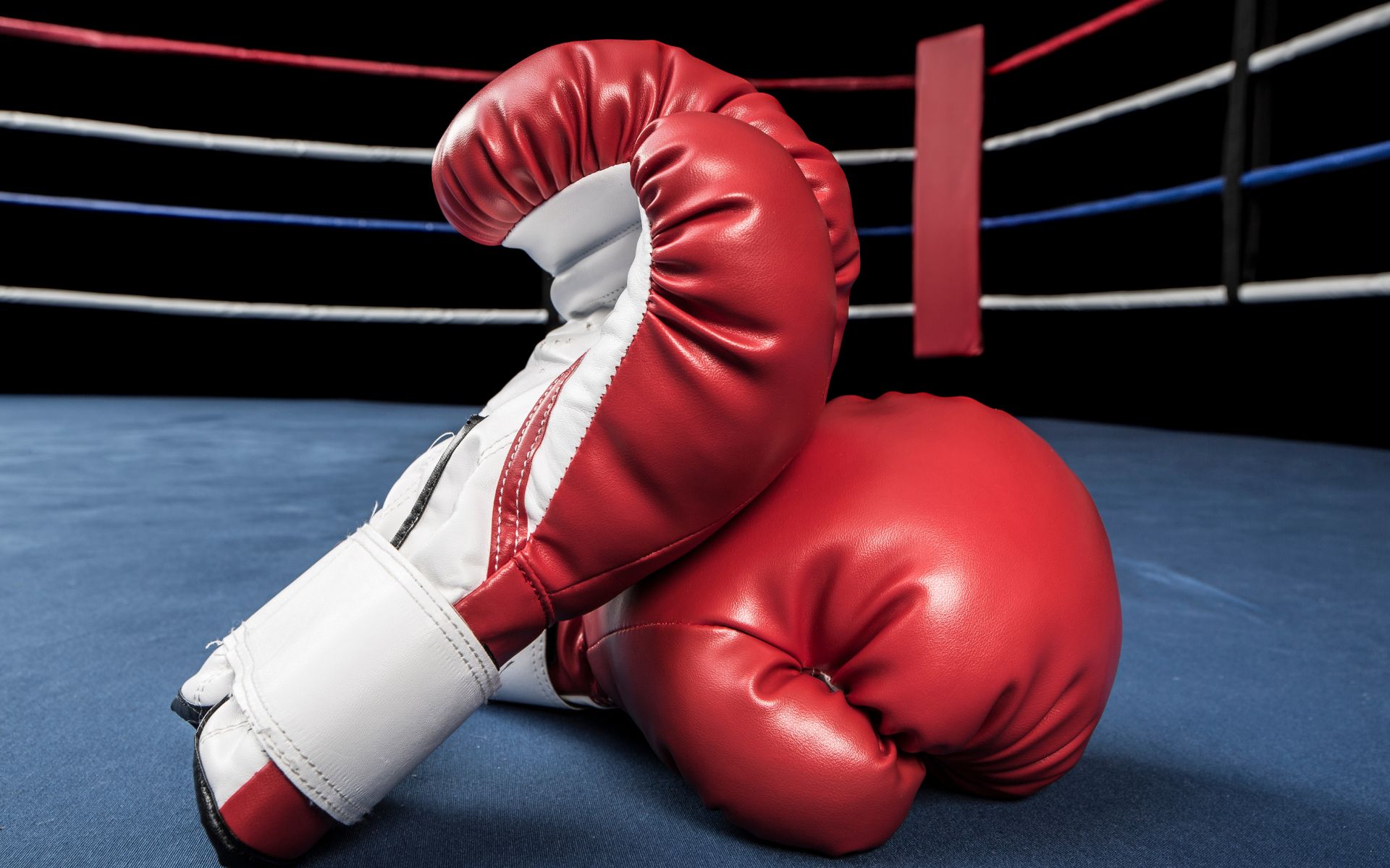 Boxing Equipment List to Start a Boxing Gym in 2024 - WodGuru