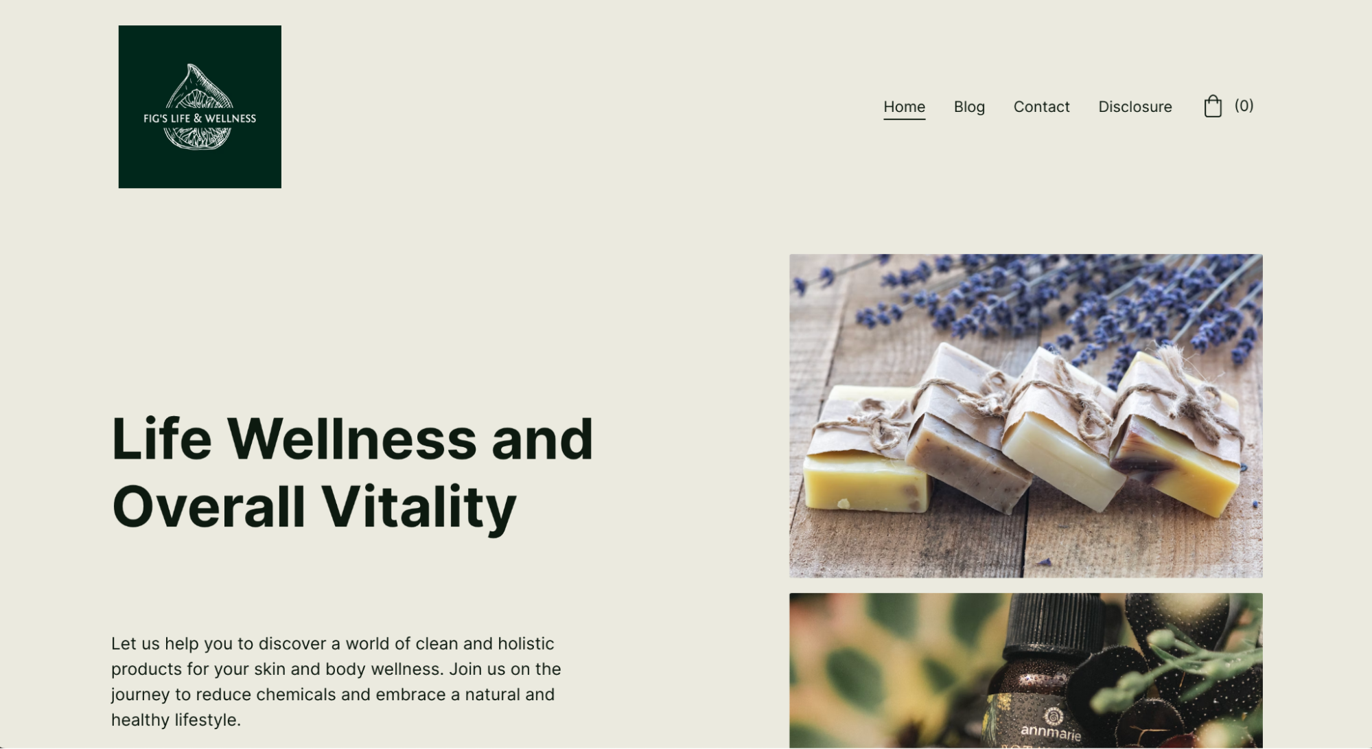 15 Top Wellness Websites Design to Get Inspired - WodGuru